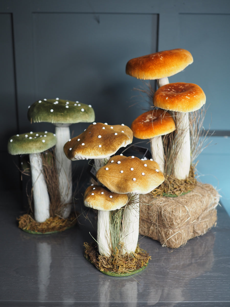 Tall Toadstool family | Autumn decorations | Osborne & Co.